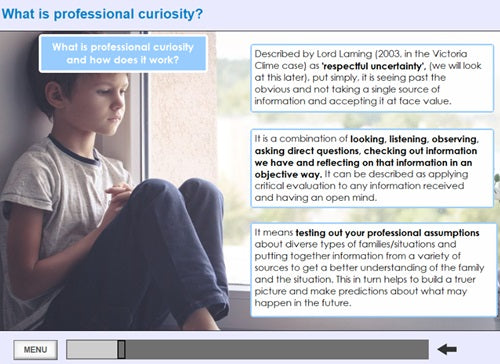 Professional curiosity SCORM File